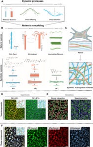 Institute for Soft Matter Synthesis and Metrology | Georgetown University